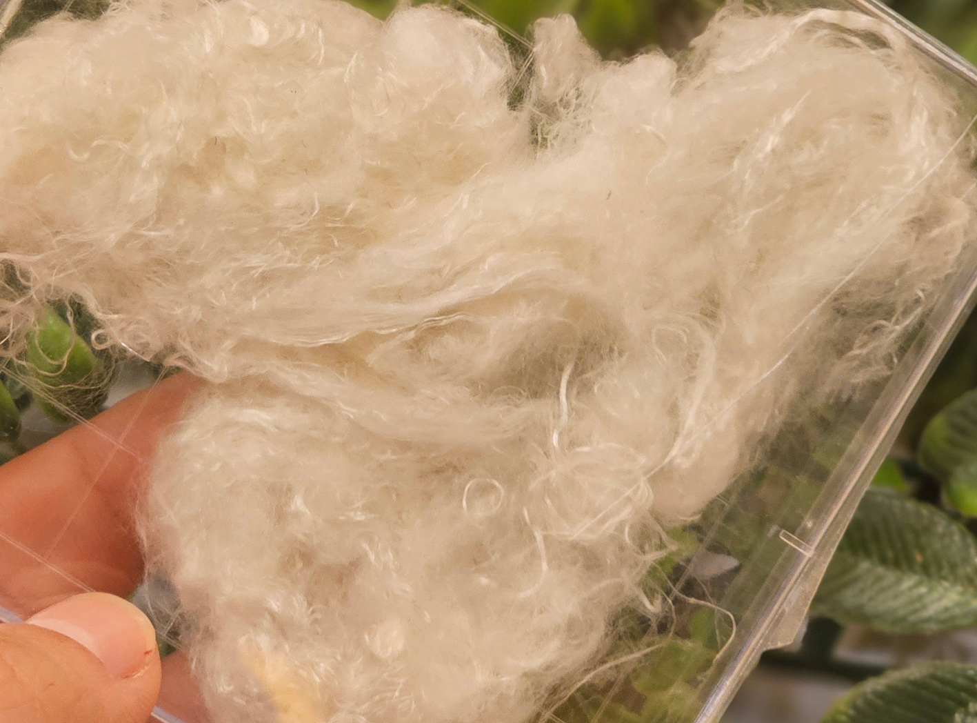 Walmart explores carbon capture clothing